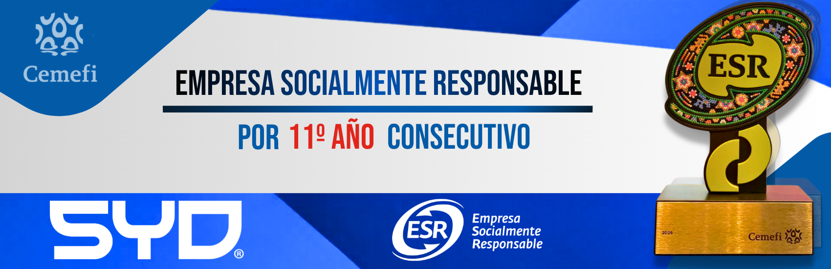 SYD – Suspensión y Dirección